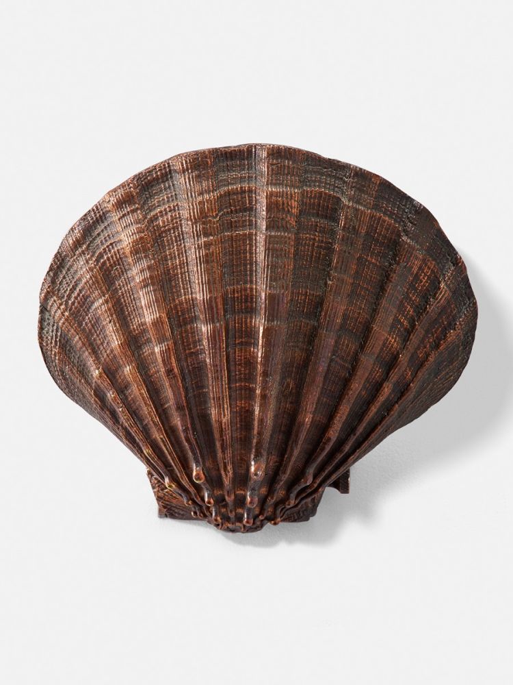 Scallop Accent - Brass Shell Accent Light by Collier Webb